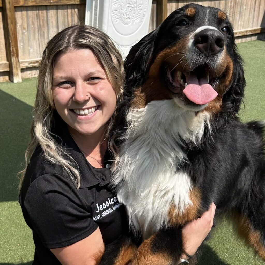 About Us - Paws Canine Activity Center
